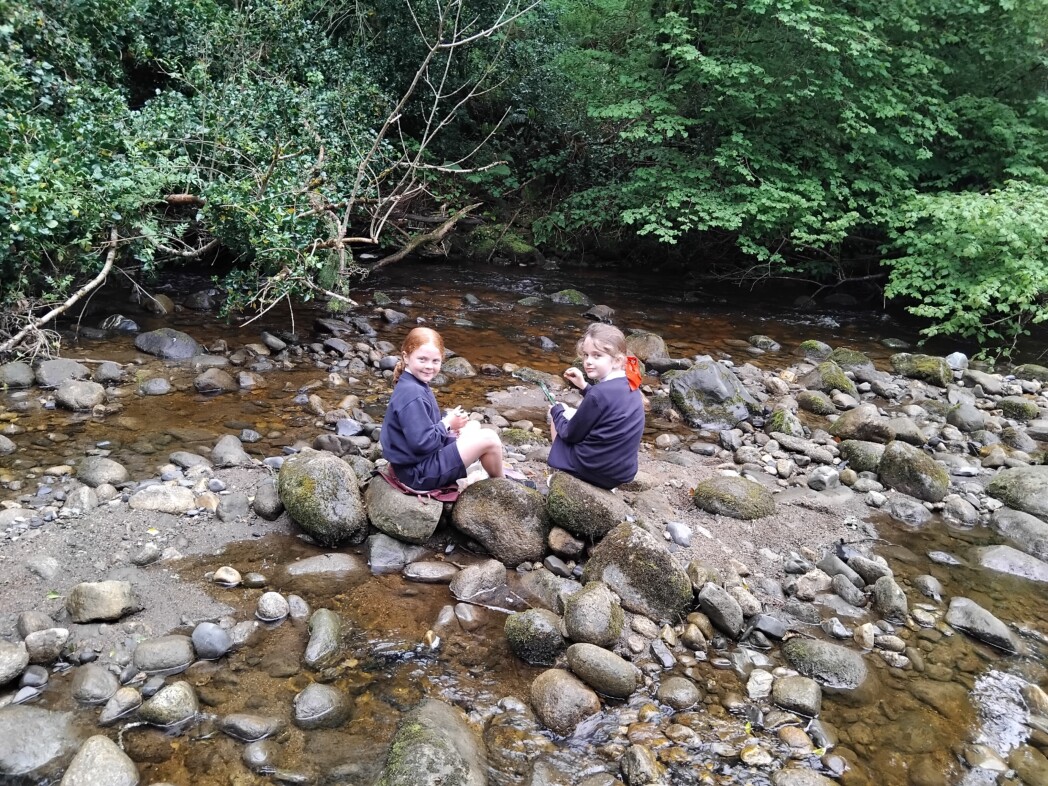 2nd Class-Trip to Knocksink Woods